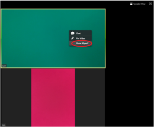 Show / hide my video (self-view) on my screen in Zoom Meeting App